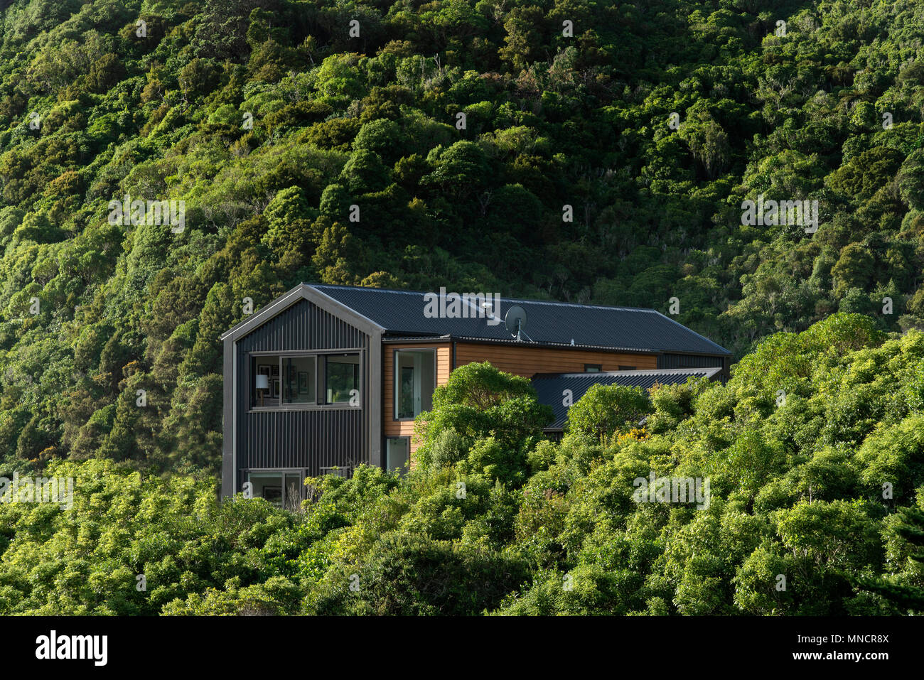 Korokoro High Resolution Stock Photography and Images - Alamy