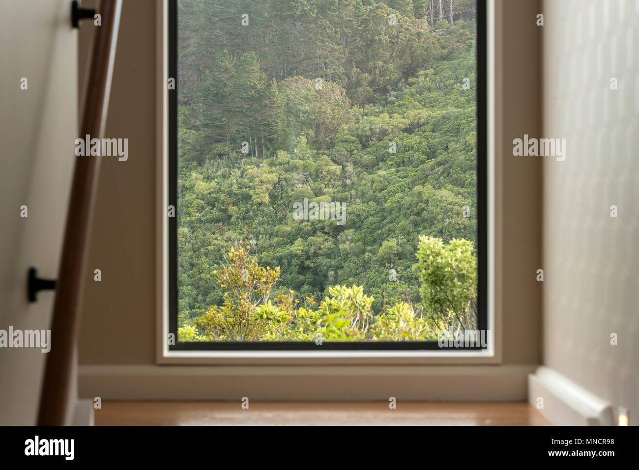 View out of window onto New Zealand native bush on the staircase with a ...
