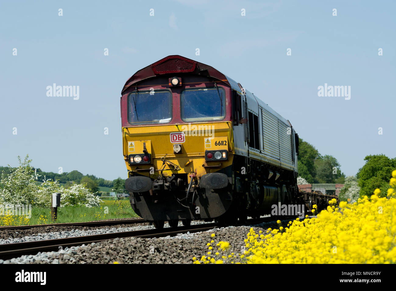 Class 66 diesel locomotive pulling a freightliner train near King`s ...