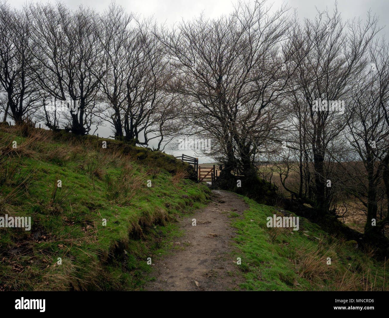 Exmoor National Park Stock Photo - Alamy