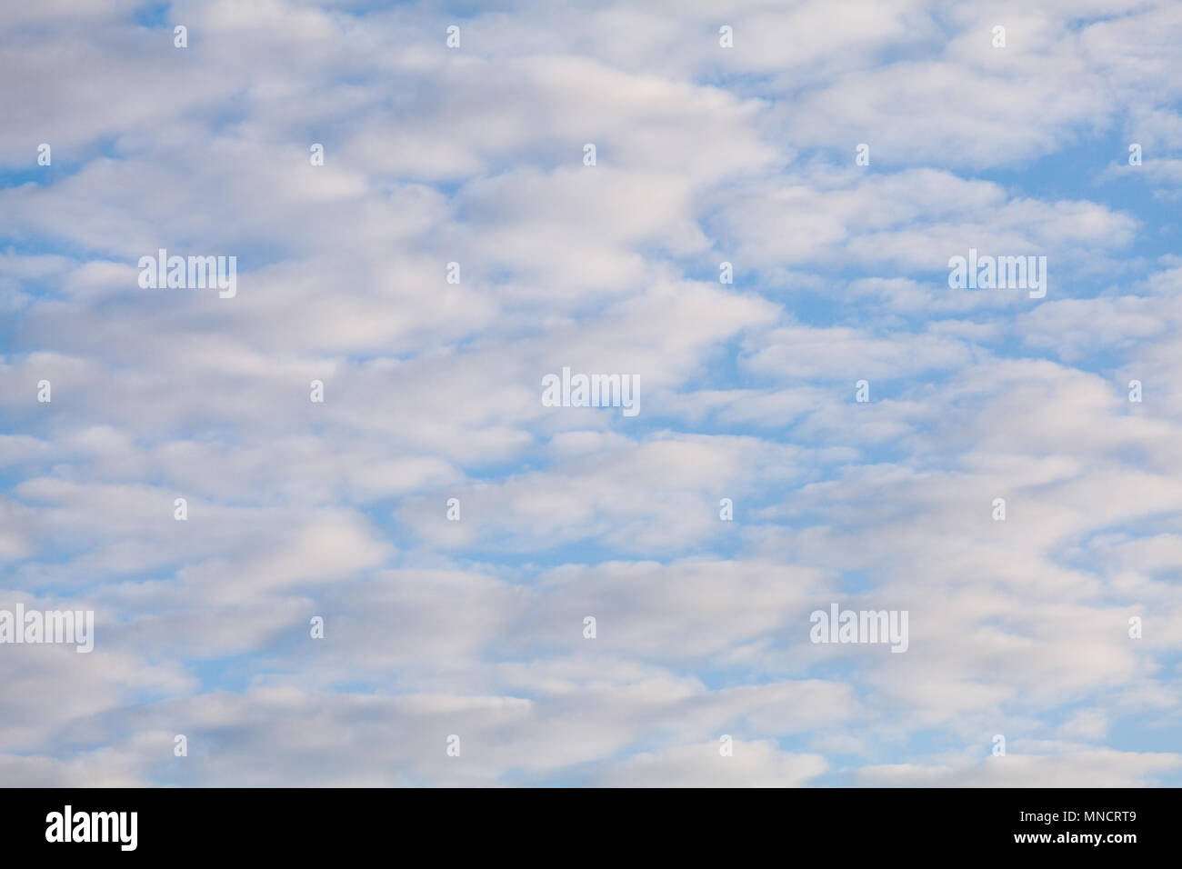 Blue sky with white fluffy clouds Stock Photo - Alamy
