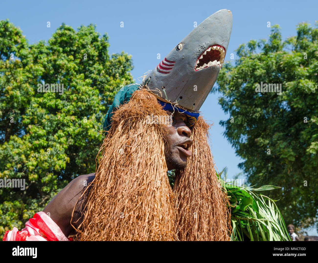 Unidentified African man in traditional shark costume doing ritual ...