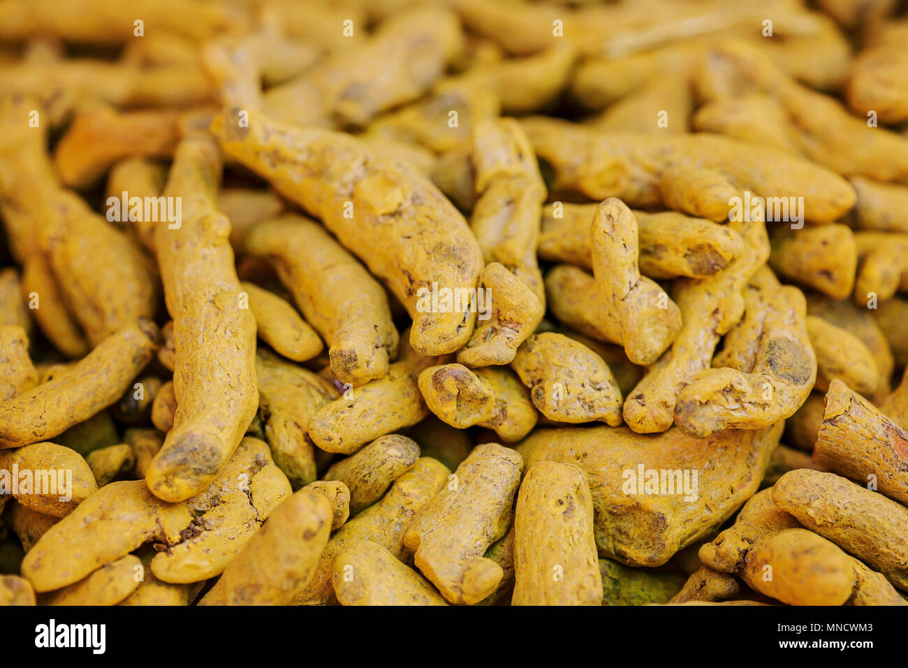 Raw Turmeric roots background Stock Photo - Alamy