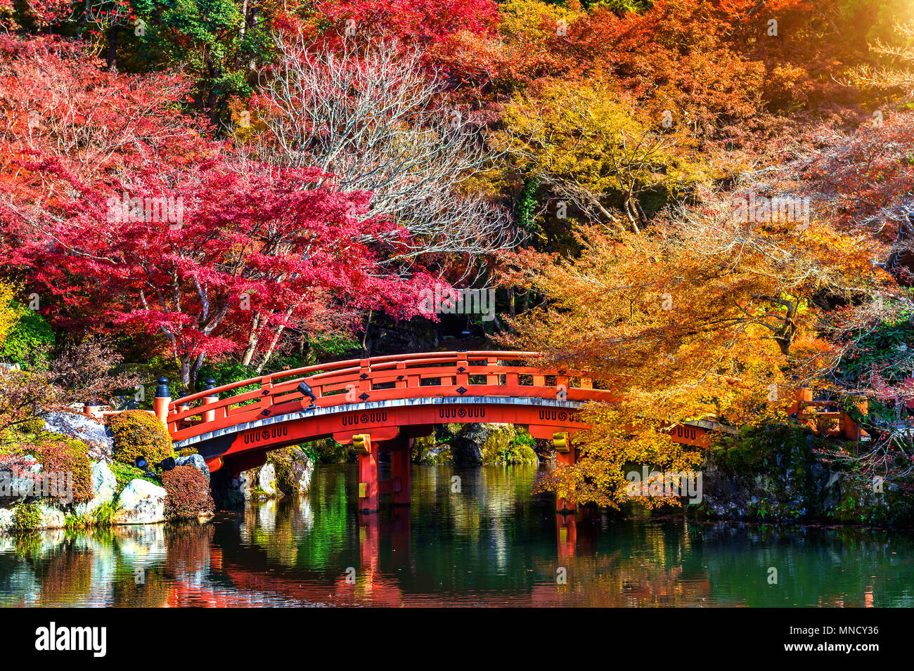 Season in japan hi-res stock photography and images - Alamy
