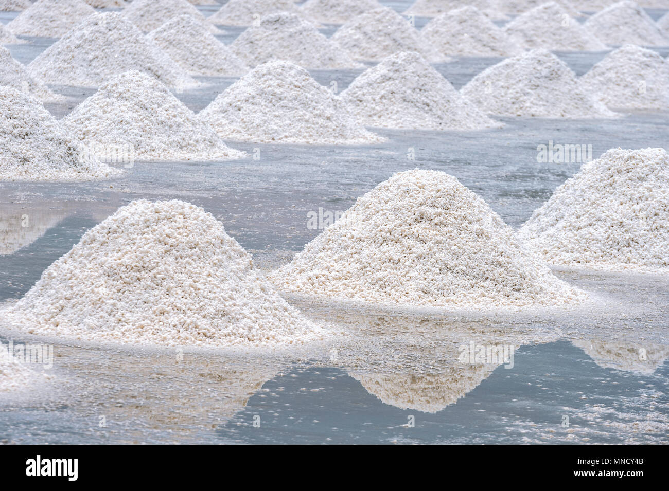 Salt farm from natural Stock Photo - Alamy