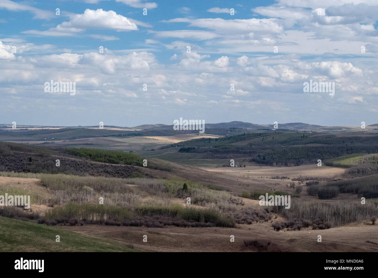 Calgary foothills hi-res stock photography and images - Alamy