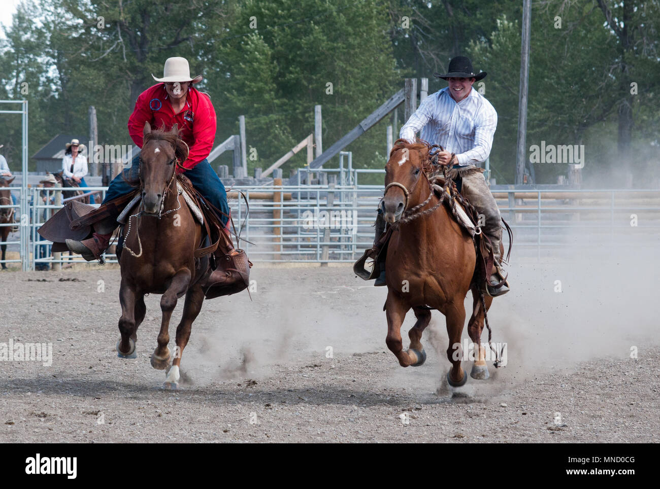 Cowboys charge across the corral as part of the ranch rodeo at the ...