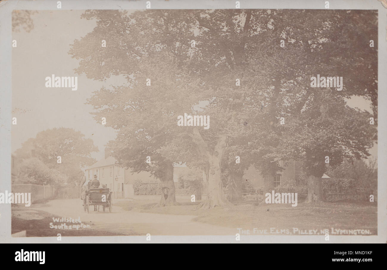 Vintage Photograph of The Five Elms, Pilley, Near Lymington, Hampshire ...