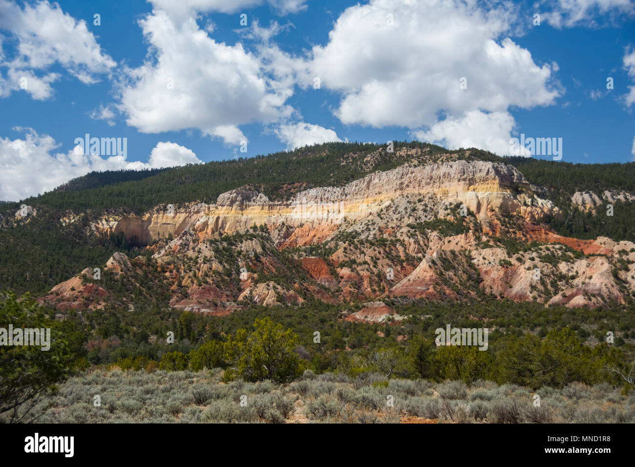 New Mexico Landscape Stock Photo - Alamy