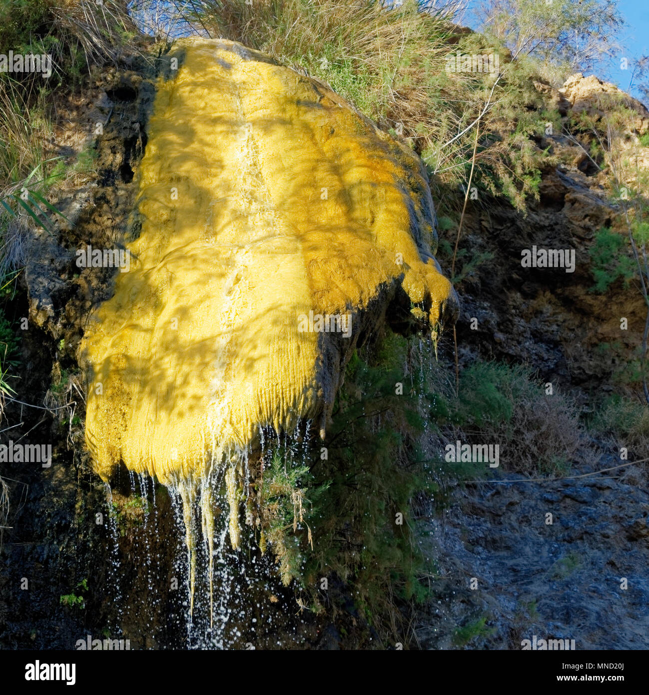 Yellow precipitation of sulphur at a secondary source of the hot ...