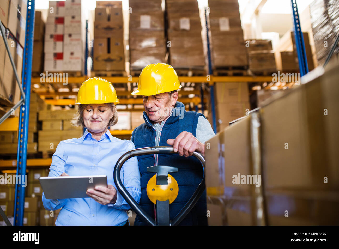 Senior woman manager and man worker with tablet working in a warehouse ...