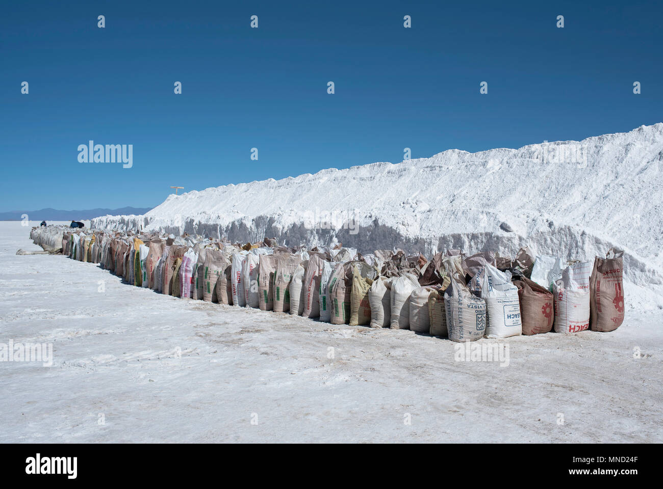 Salt bags lined up in Salinas Grandes, where a few men makes a living ...