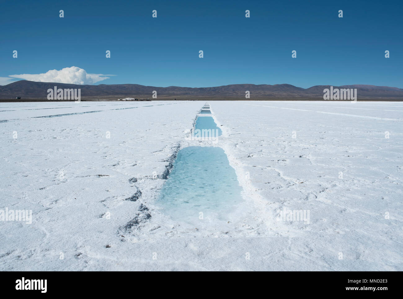 Landscape of Salt flats (Salinas Grandes) in Argentina Stock Photo - Alamy