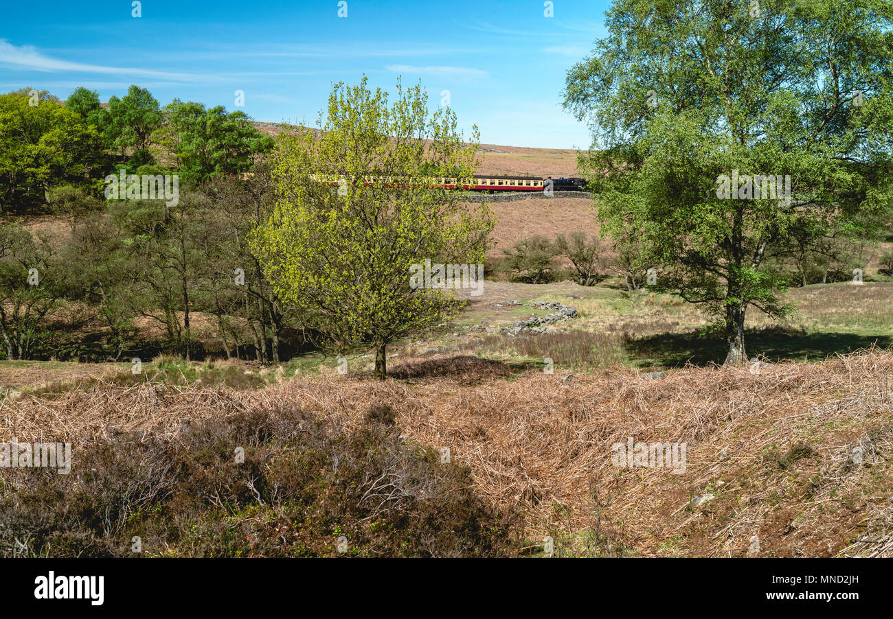 Vintage steam train travels through the North York Moors on a bright ...