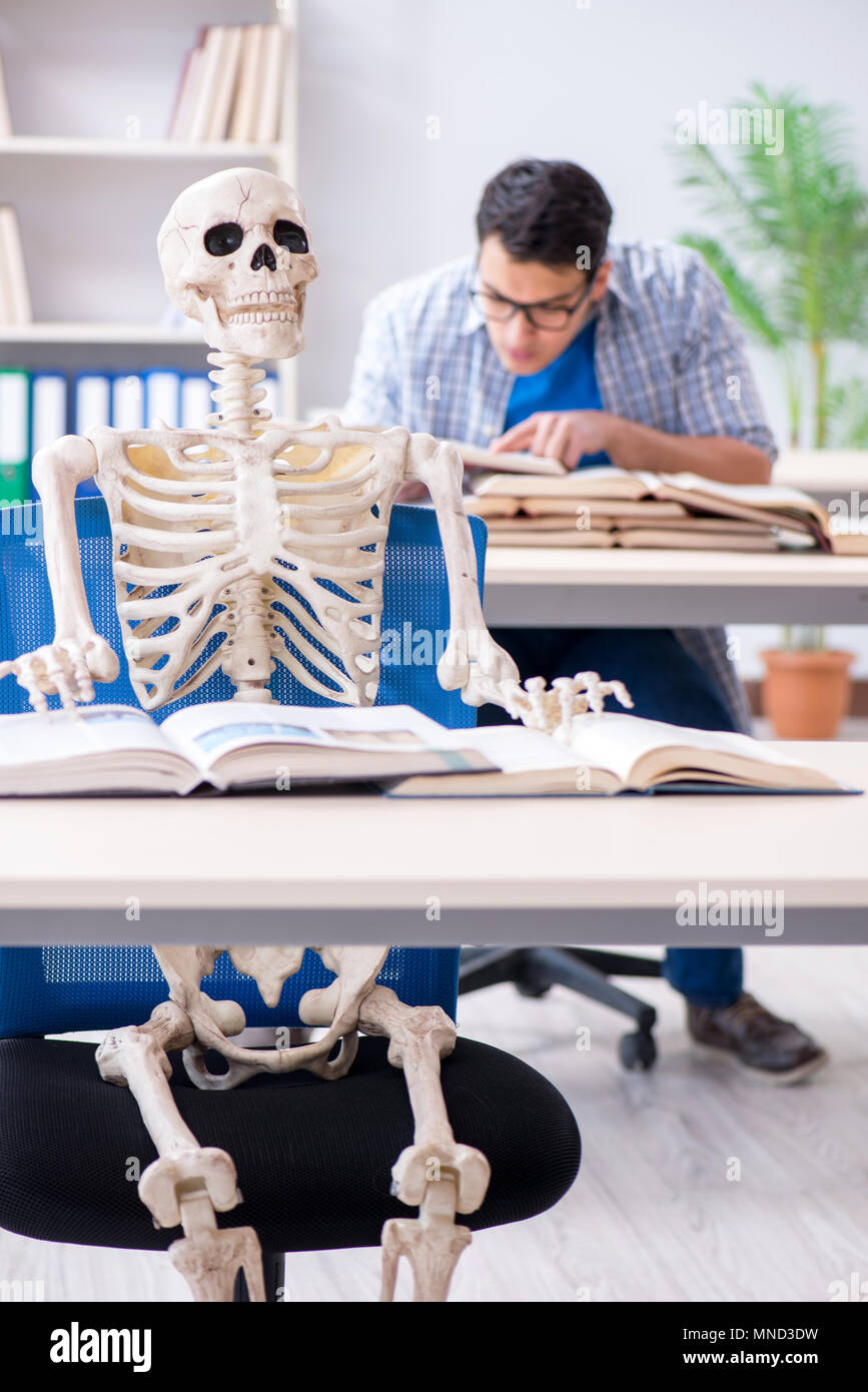 Student skeleton listening to lecture in classroom Stock Photo - Alamy
