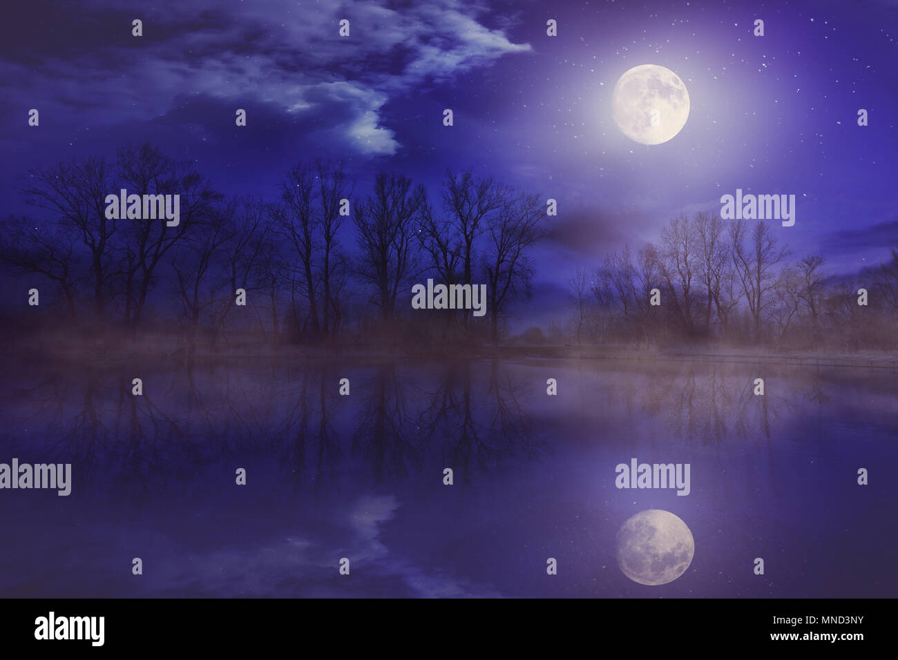 Stars in night sky reflecting hi-res stock photography and images - Alamy