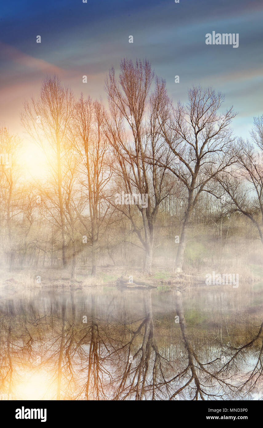 beautiful view of the sunny sunrise and lake Stock Photo - Alamy
