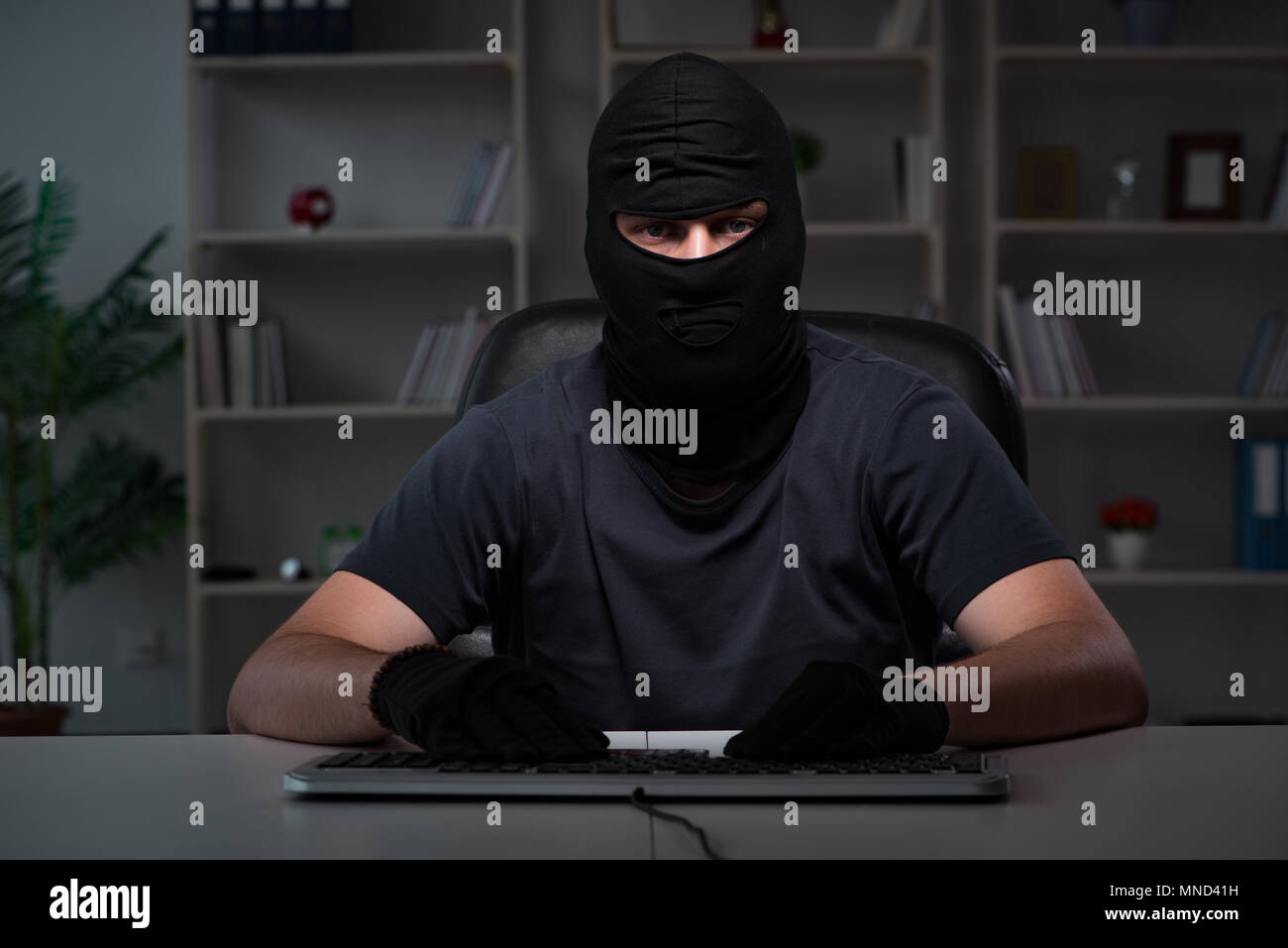 Hacker hacking computer late at night Stock Photo - Alamy