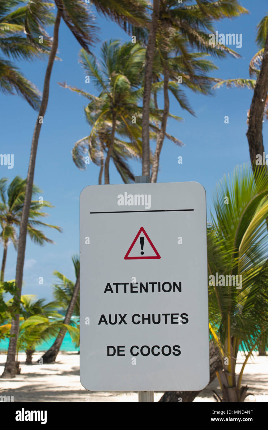 Low angle view of warning sign against palm trees at beach, Guadeloupe ...