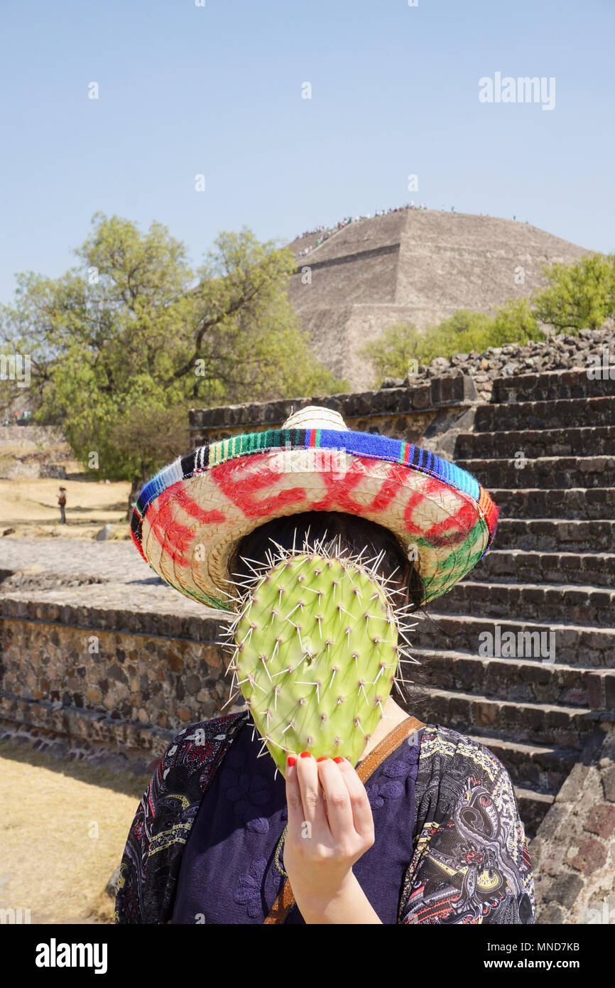 Old woman cactus hi-res stock photography and images - Alamy