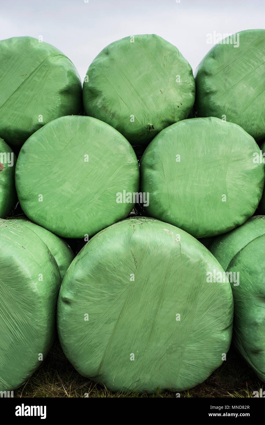 Hale green hi-res stock photography and images - Alamy