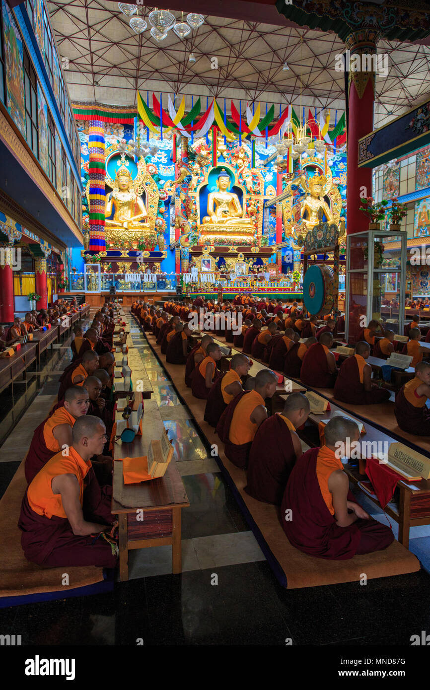 Namdroling Monastery - at Kushalnagar (Bylakuppe) - Coorg, India Stock ...