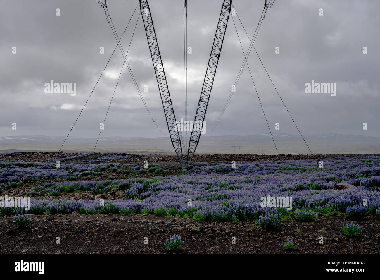 Electricity pylon amidst plants on field against sky, Highlands ...