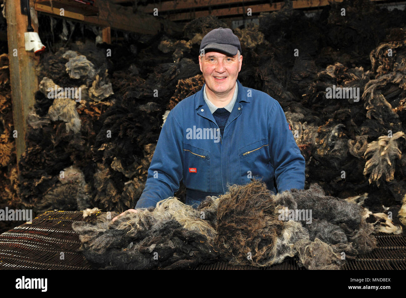 Wool sorter hi-res stock photography and images - Alamy