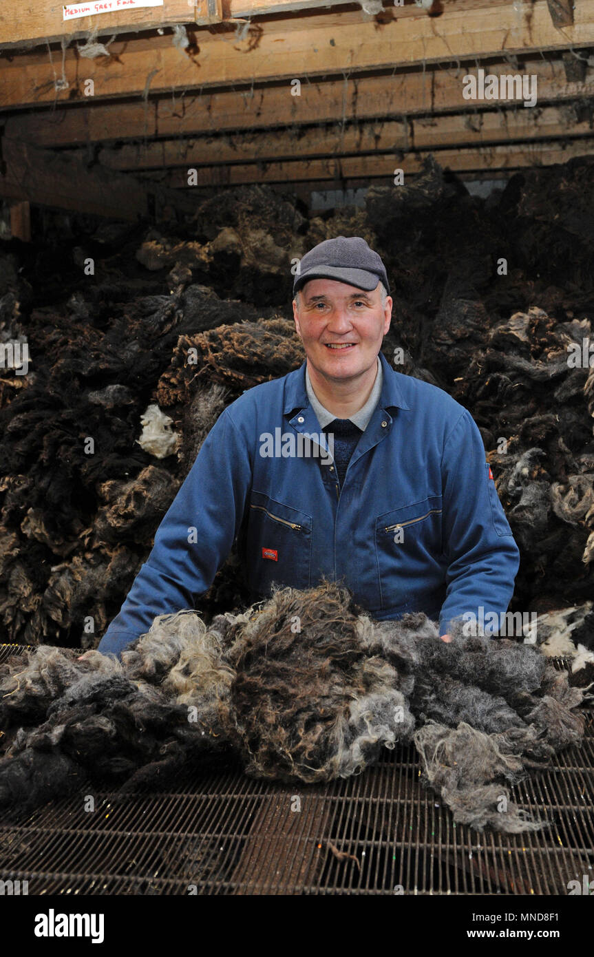 Oliver Henry wool and fleece sorter at Jamieson and Smith in Shetland ...