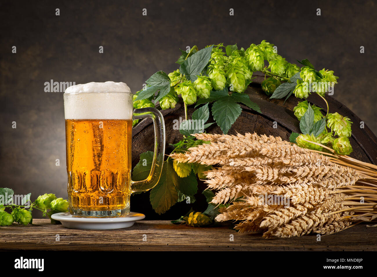 Still life with Hops, Beer and Barley Stock Photo - Alamy