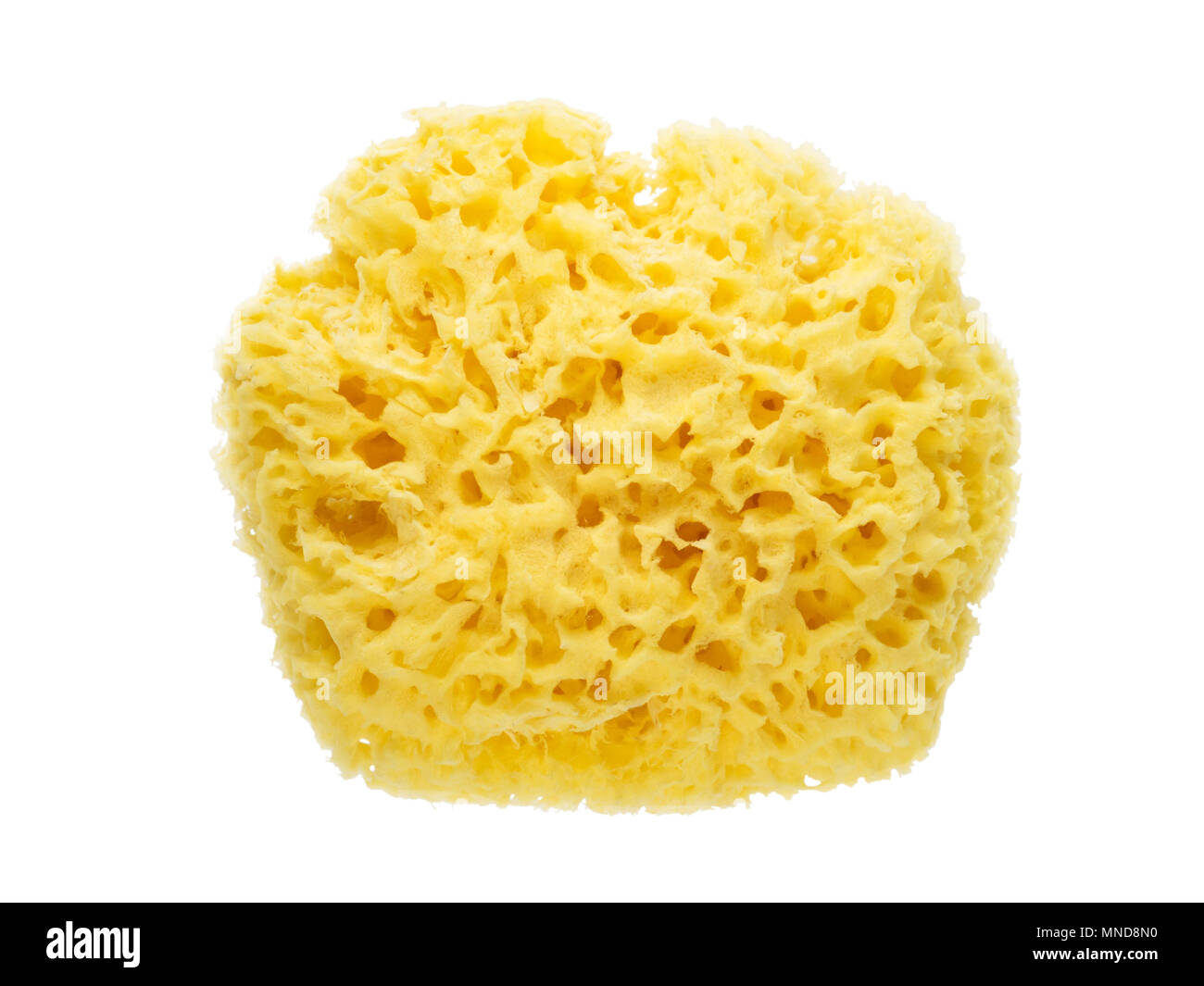 Top view gentle white Cut Out Stock Images & Pictures - Alamy