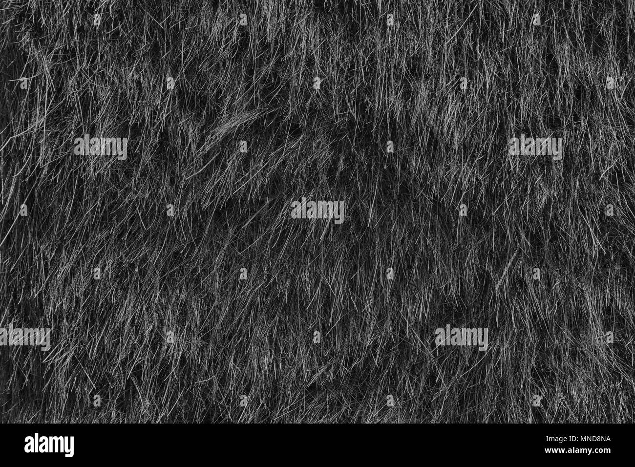 Monochrome Dry straw grass background, hay texture after havest Stock ...