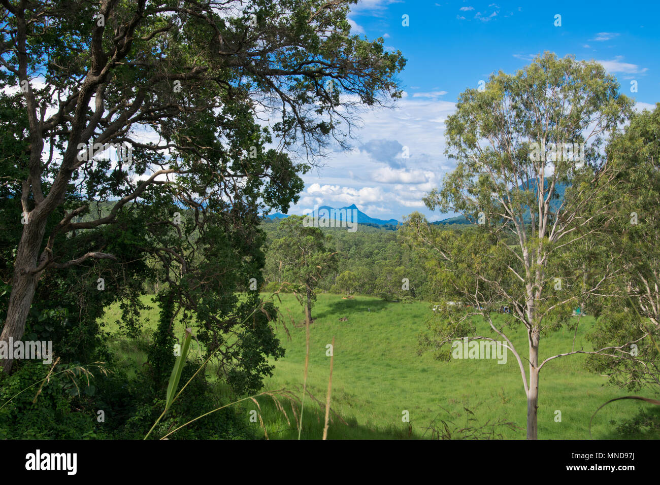 Landscape in Australian hinterland in the summer Stock Photo - Alamy