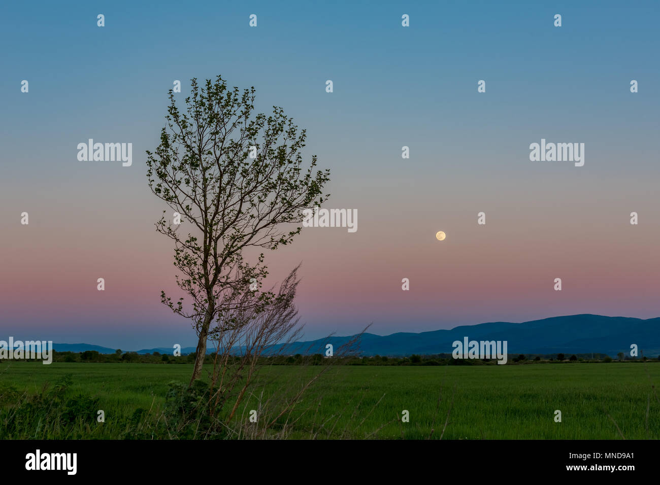 Tranquil scenery hi-res stock photography and images - Alamy