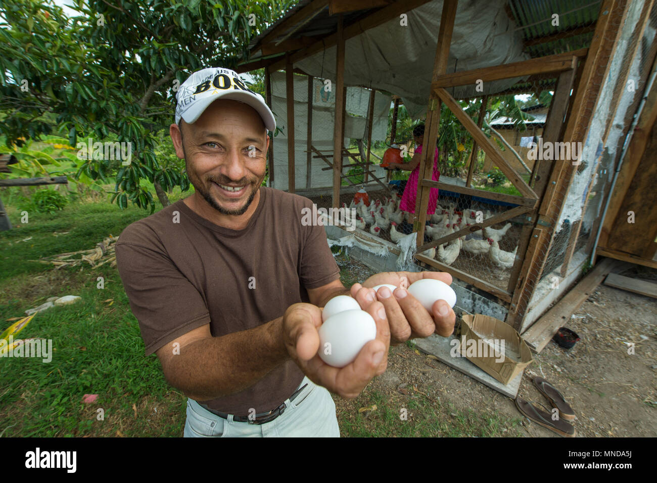 Chicken Coop, Claudio Cesar Aguirre, Honduras Outreach Stock Photo - Alamy