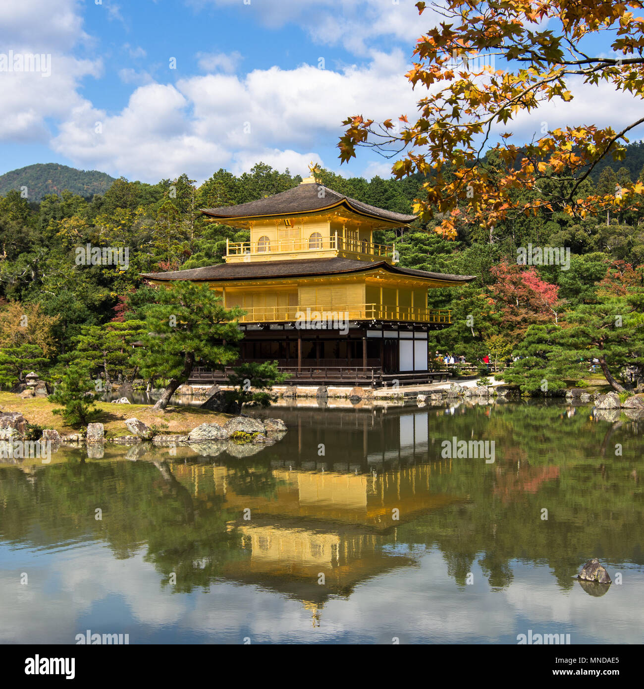 The Golden Pavilion (Kinkaku-ji) and its beautiful garden in Kyoto ...
