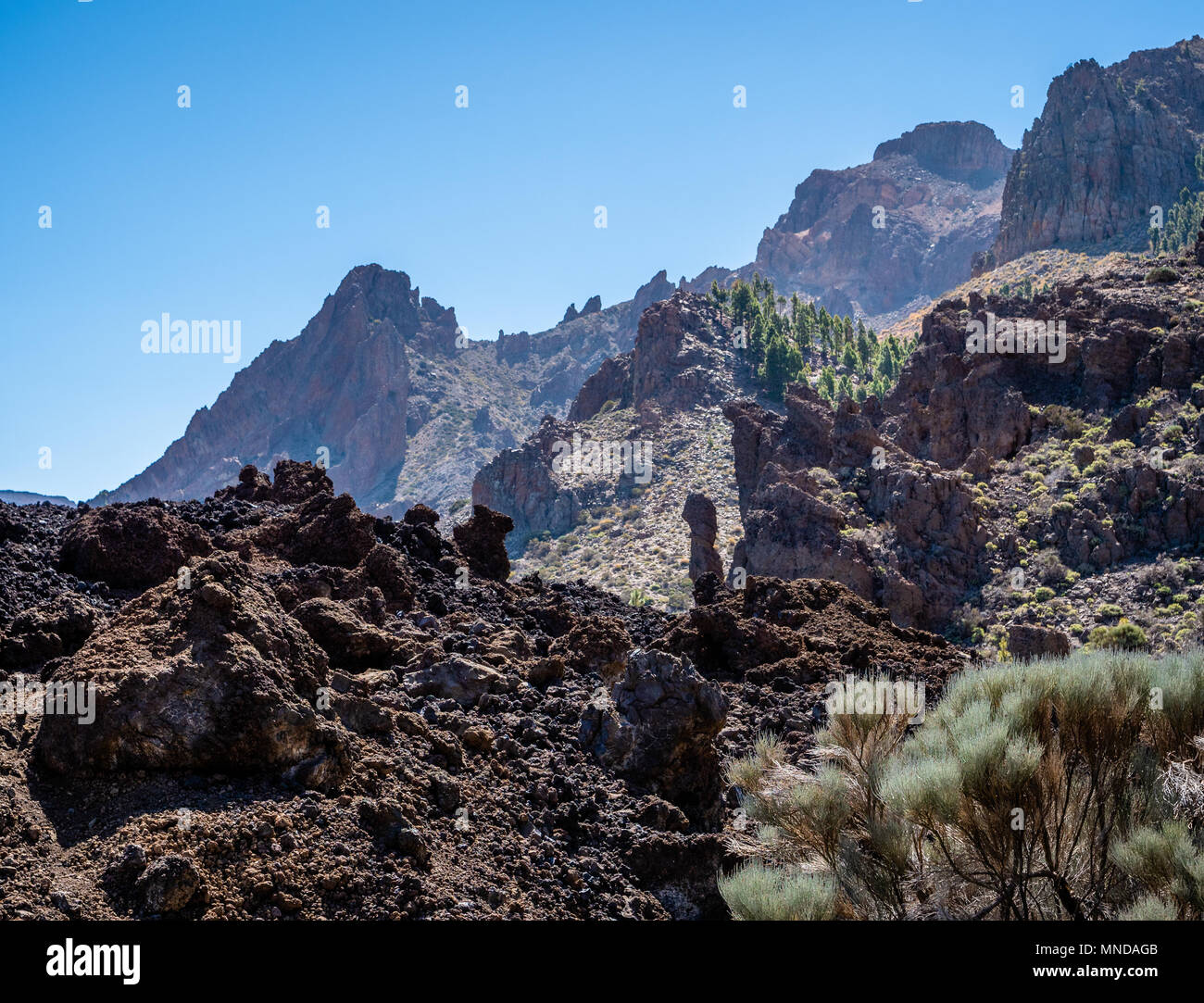 Volcanic scenery at edge of the Las Canadas caldera of Mount Teide near ...