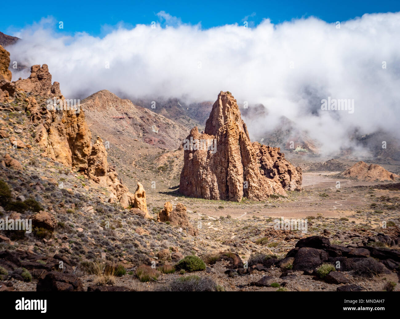 Catedral de tenerife hi-res stock photography and images - Alamy