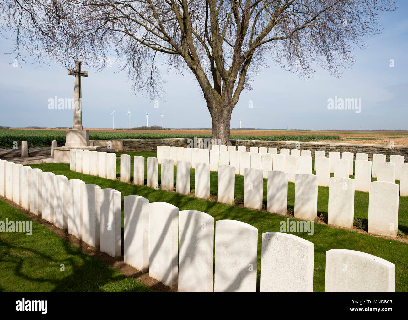 World war 1 graves hi-res stock photography and images - Alamy