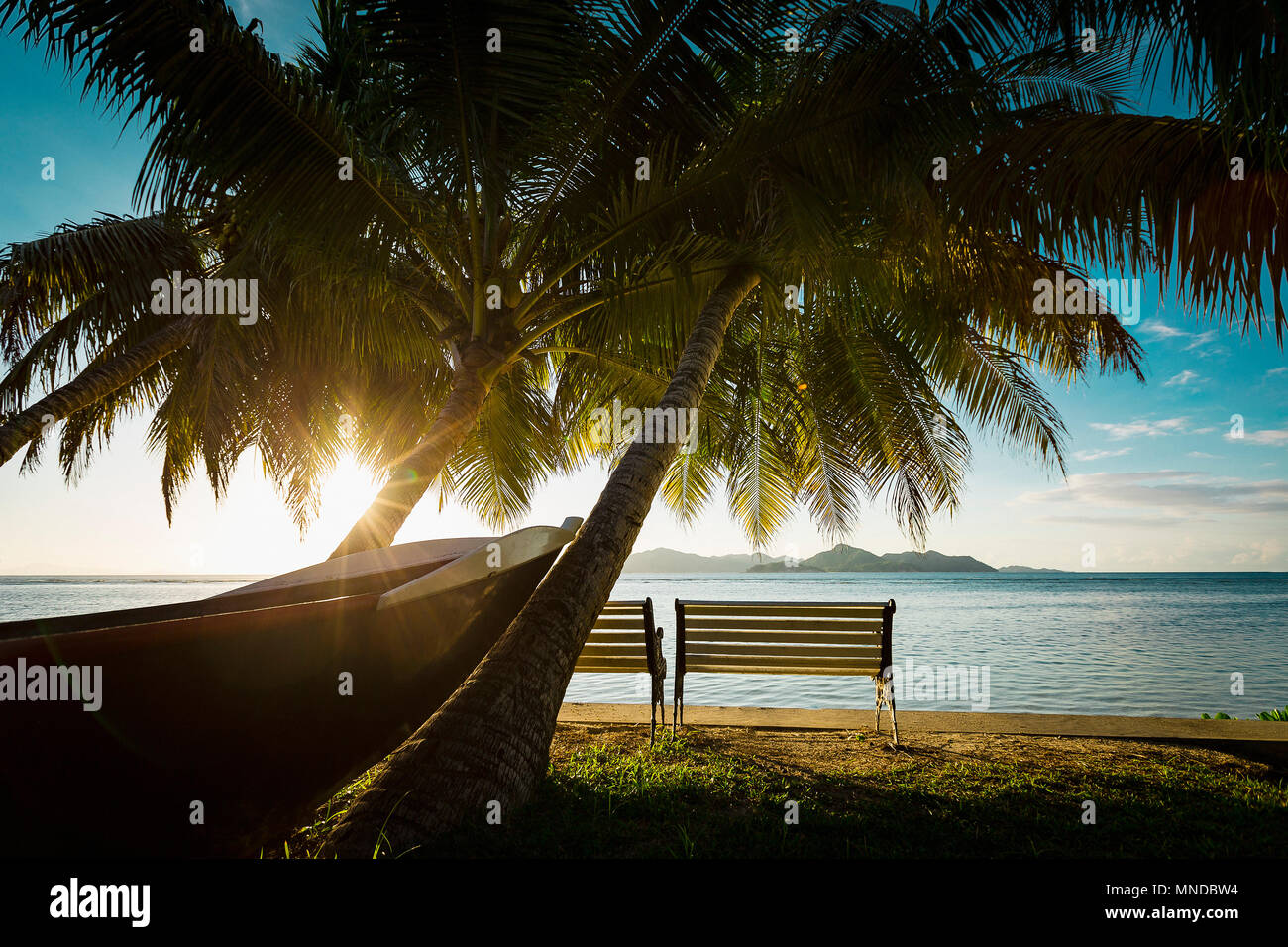 Boat and benches by palm trees at beach during sunset, Island of La ...