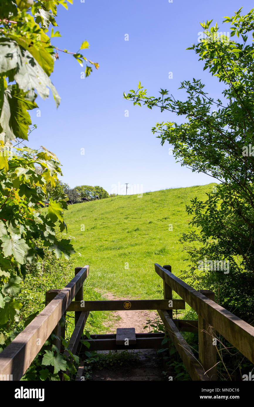 Countryside view over wooden bridge and stile into farmland in Cheshire ...