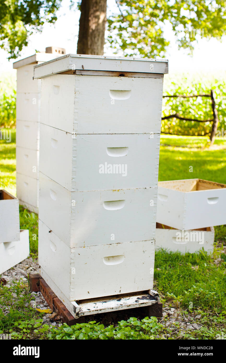 Frame crates hi-res stock photography and images - Alamy
