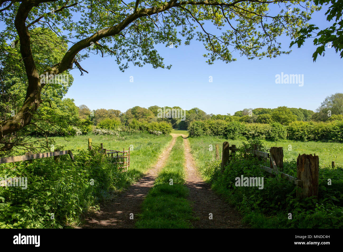 Farmland path with open gate in Cheshire UK Stock Photo - Alamy