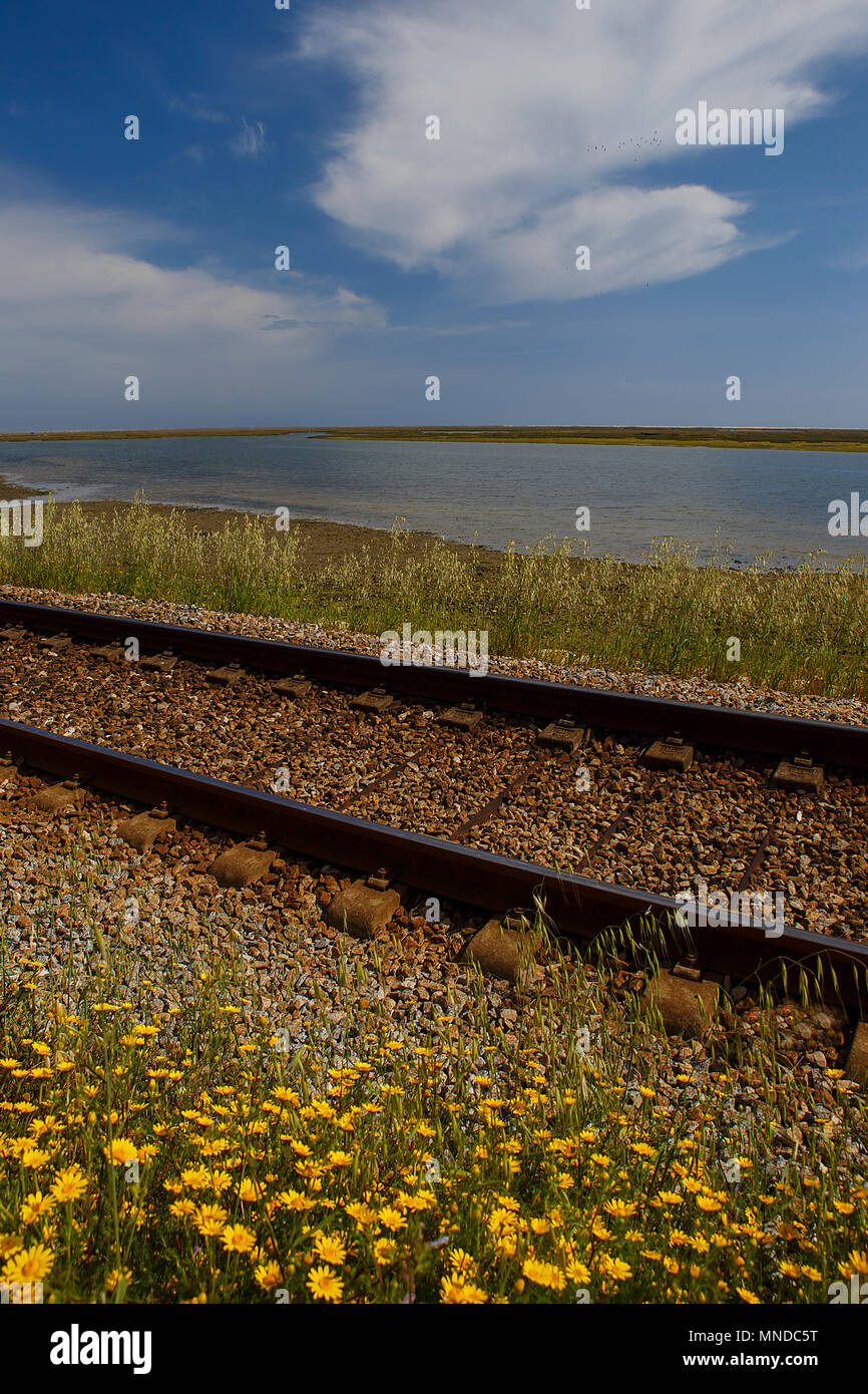 Train tracks between the marshes of Faro, Algarve-Portugal Stock Photo ...