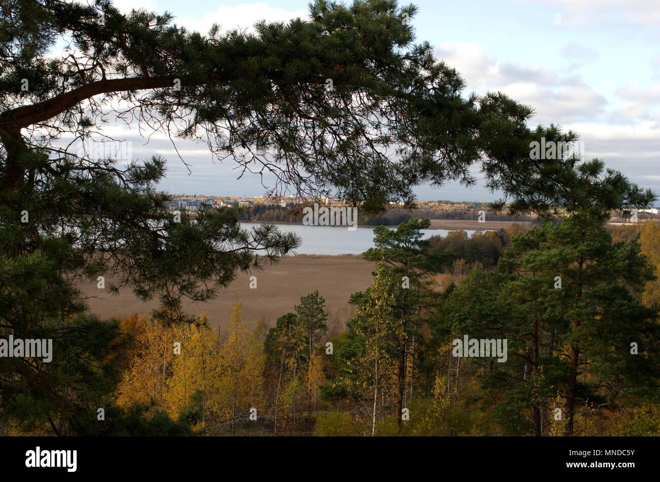 Balcony view from a balcony Stock Photo - Alamy