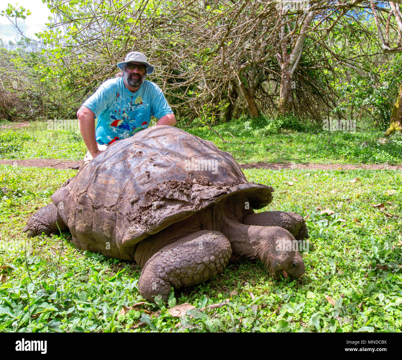 Galapagos giant tortoise person hi-res stock photography and images - Alamy