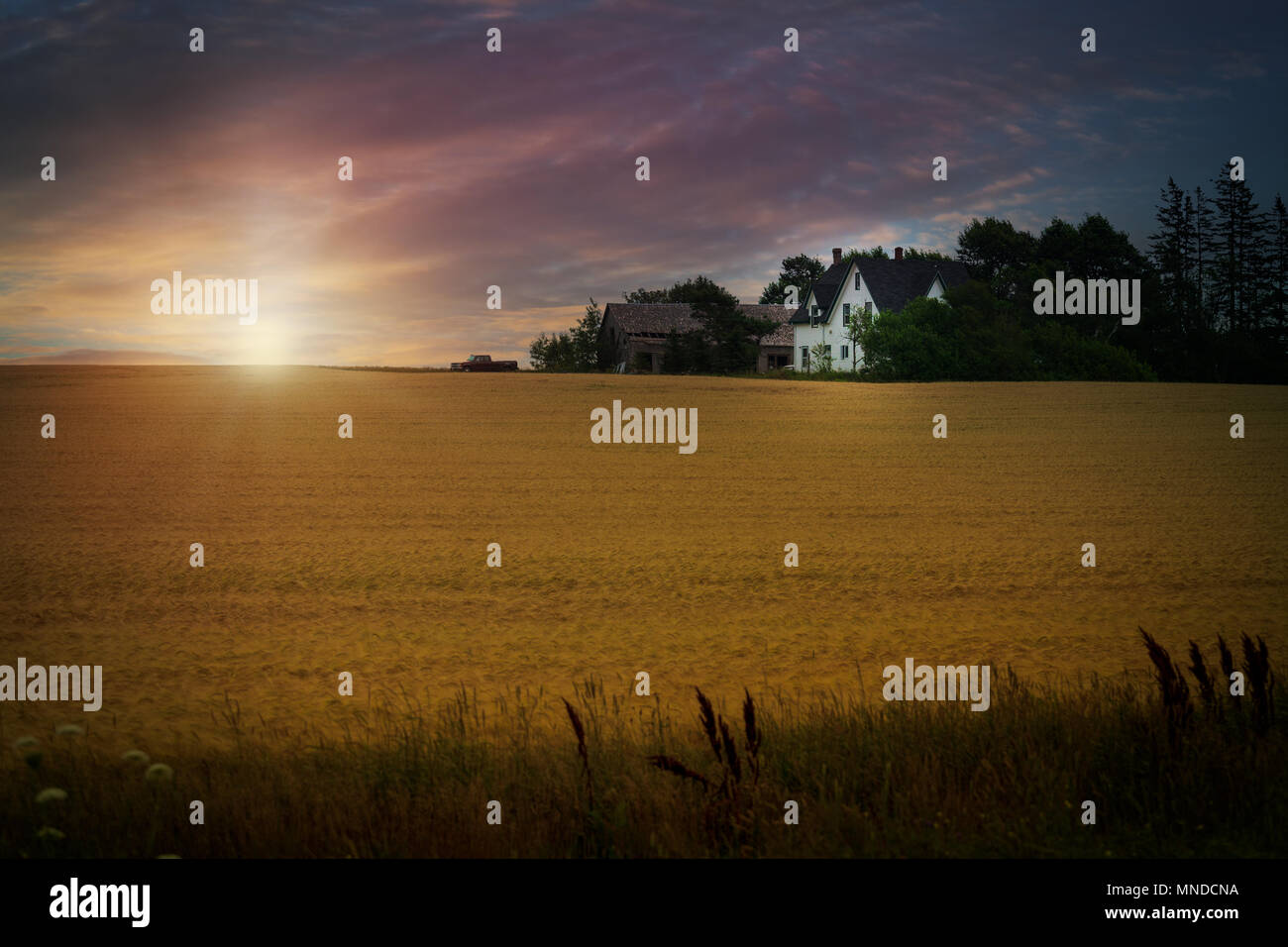 Sunrise over farm field hi-res stock photography and images - Alamy