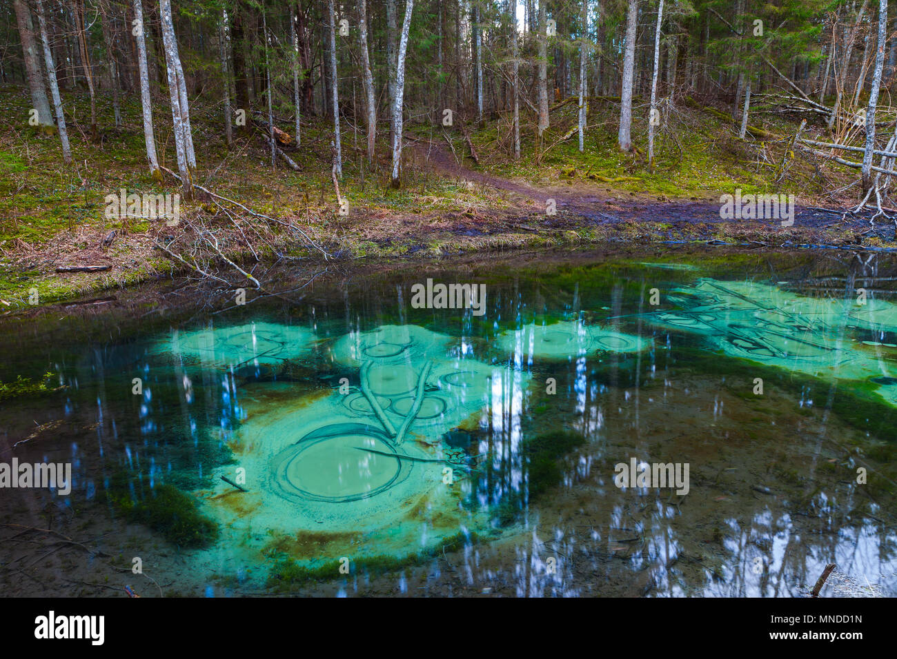 Freshwater springs of Saula, Estonian landmark. Pure water and colored ...