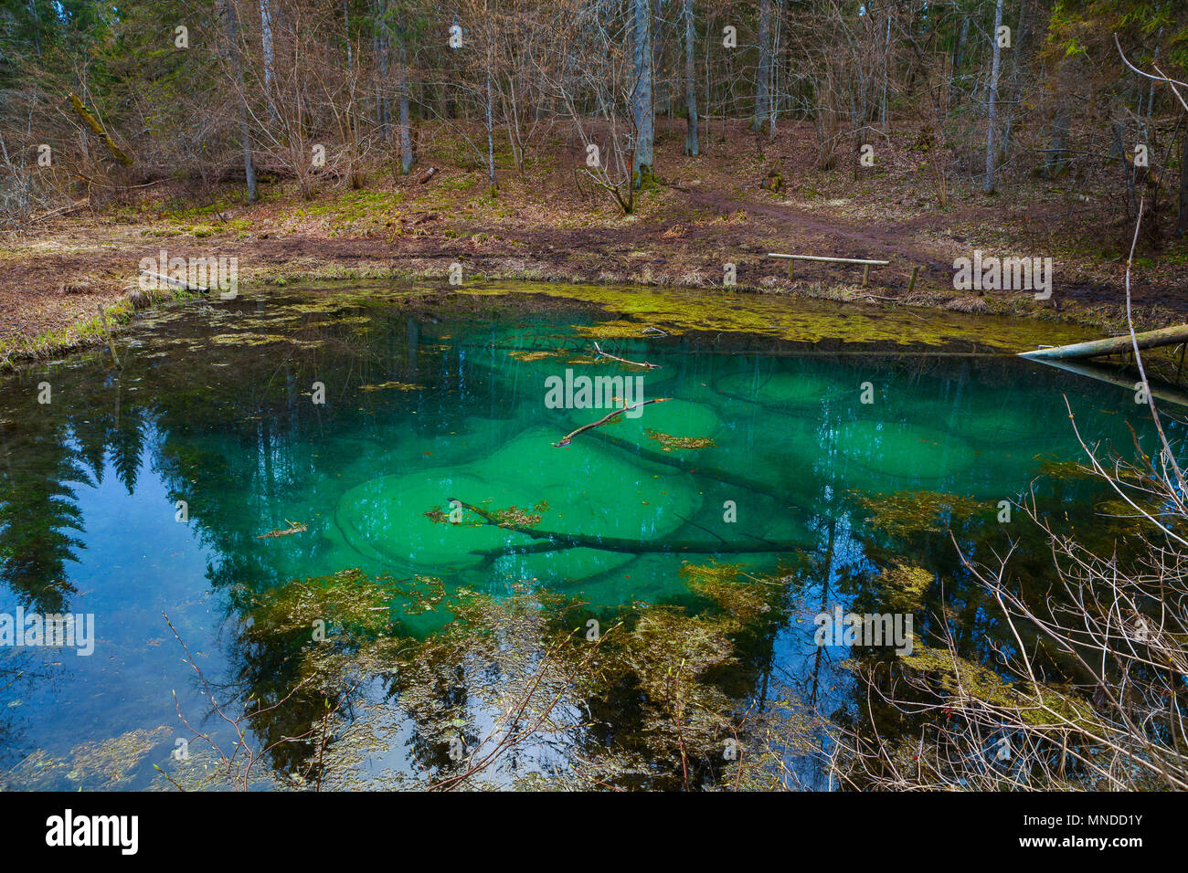 Freshwater springs of Saula, Estonian landmark. Pure water and colored ...