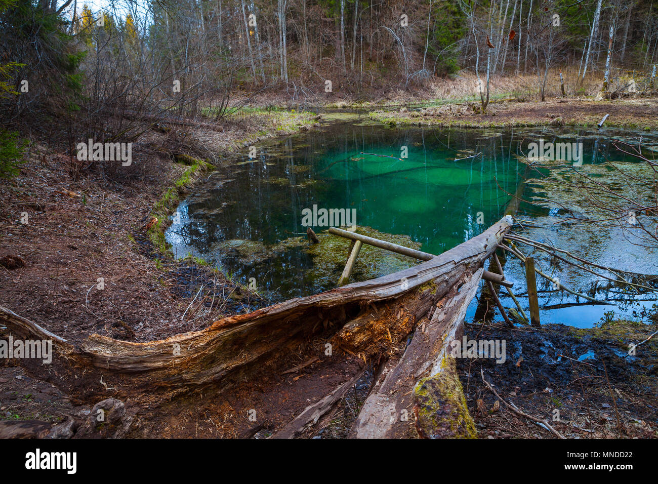 Freshwater springs of Saula, Estonian landmark. Pure water and colored ...